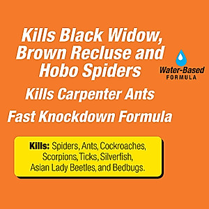 TERRO T2302-6 Spider Killer Spray for Indoors and Outdoors - Kills Spiders, Ants, Roaches, Scorpions, Ticks, Silverfish, and Other Insects