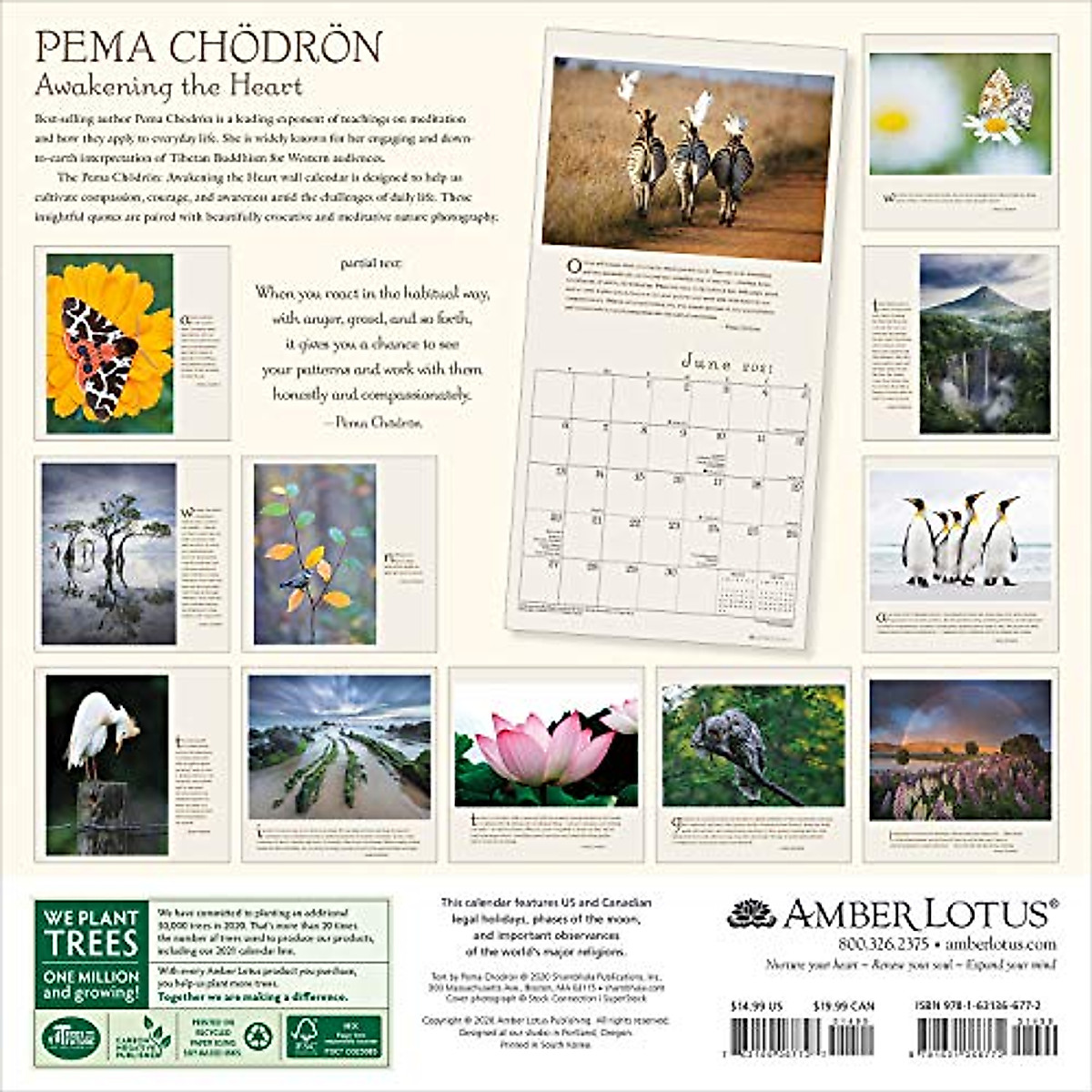 Pema Chodron 2021 Calendar: Awakening the Heart