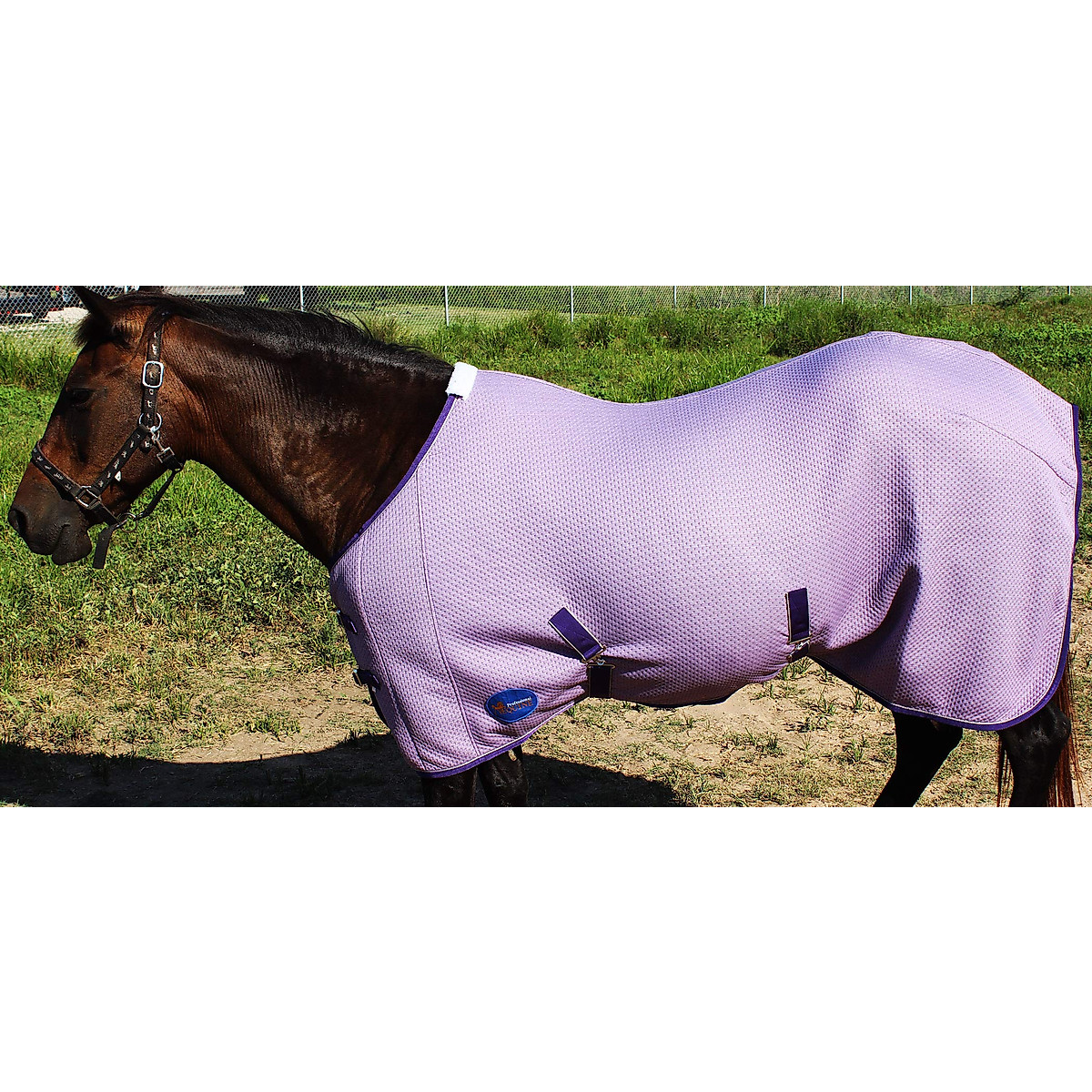 Professional Equine 72" Horse Stretchable Cotton Show Sheet Blanket Summer Spring Winter Purple 5342