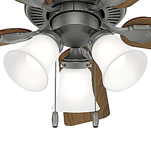 Hunter 50882 Swanson Ceiling Fan 44 inches Matte Silver
