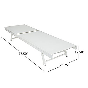 Christopher Knight Home Simon Outdoor Aluminum and Mesh Chaise Lounge, White/White