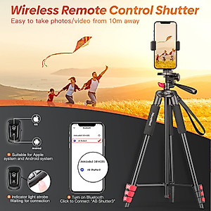 65” Phone Tripod, Tripod for iPhone, Cellphone Tripod with Remote Shutter & Phone Holder for Live Streaming & Video Recording, Compatible with iOS/Android/Camera (Included Carry Bag)