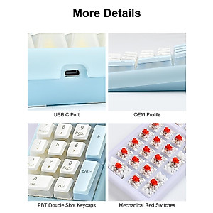 LINKEET Tri-Mode Mechanical Numpad RGB Backlit Bluetooth 5.0/Wired USB-C/2.4G Wireless Macro Number Pad 21-Key NKRO Hot Swappable Numeric Keypad Rechargeable External Num Pad for Laptop, Mac