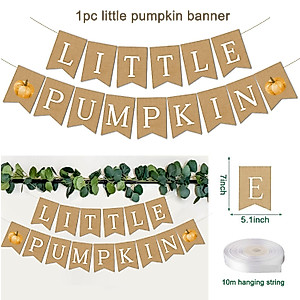 Yuzioey 177pcs Pumpkin Baby Shower Decorations, A Little Pumpkin is On The Way, Fall Pumpkin Disposable Dinnerware (Serve 25 Guests)with Paper Plates Cups Napkins, Banner Tablecloth