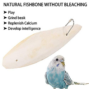 POPETPOP Bird Cuttlebone - Cuttlefish Bones Hanging Pendant Parrot Toy for Bird,Parakeets, Finches, Canaries, 3 Pcs Parakeet Cuttlebone Holder