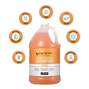 Ginger Lily Farms Club & Fitness Moisturizing Shampoo for All Hair Types, 100% Vegan & Cruelty-Free, Citrus Scent, 1 Gallon (128 fl oz) Refill