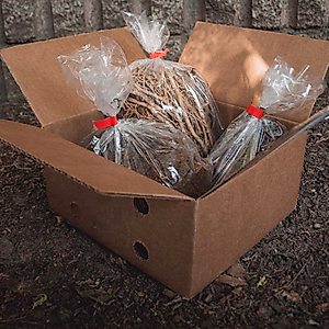 Amazing Deal - 24 Hosta Bare Roots Plants w/Planting Shovel - Mixed Heart-Shaped, Rich Green Foliage, Attracts Butterflies, Hummingbirds & Pollinators, Low Maintenance & Extremely Hardy - Zones 3–9