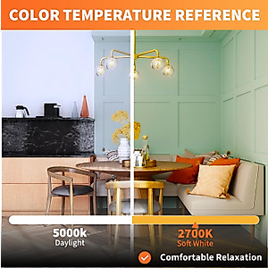 ALAMPEVER Large Globe LED Light Bulbs, Decorative Dimmable LED with 6W Equivalent to 40W Light Bulbs, 2700K Soft White, E26 Base, 300LM, CRI90, G125, Amber