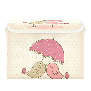 WELLDAY Birds Storage Baskets Foldable Cube Storage Bin with Lids and Handle, 16.5x12.6x11.8 In Storage Boxes for Toys, Shelves, Closet, Bedroom, Nursery