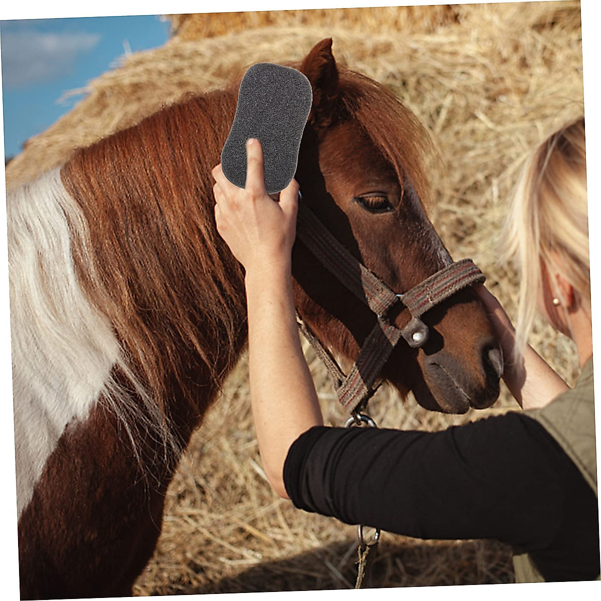 iplusmile 10 Pcs Sponge Scrubber Horse Shampoo Horse for Grooming Horse Clean Tool Toys for Horses Tack Sponges Horse Cleaner Sponge Wipes Horse Cleaning Tool Animal Appendix Child