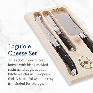 Jean Dubost 3 Piece Cheese Set with Handles, Black