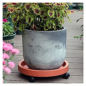 jinyi2016SHOP Furniture Wooden Display Stands Round Plant Caddy Resin Plant Caddies Heavy Duty 9 Inch Round Plant Stand with Wheels Indoor Outdoor On Roller Patio/Flower Pot Teapot Vase Bonsai Base