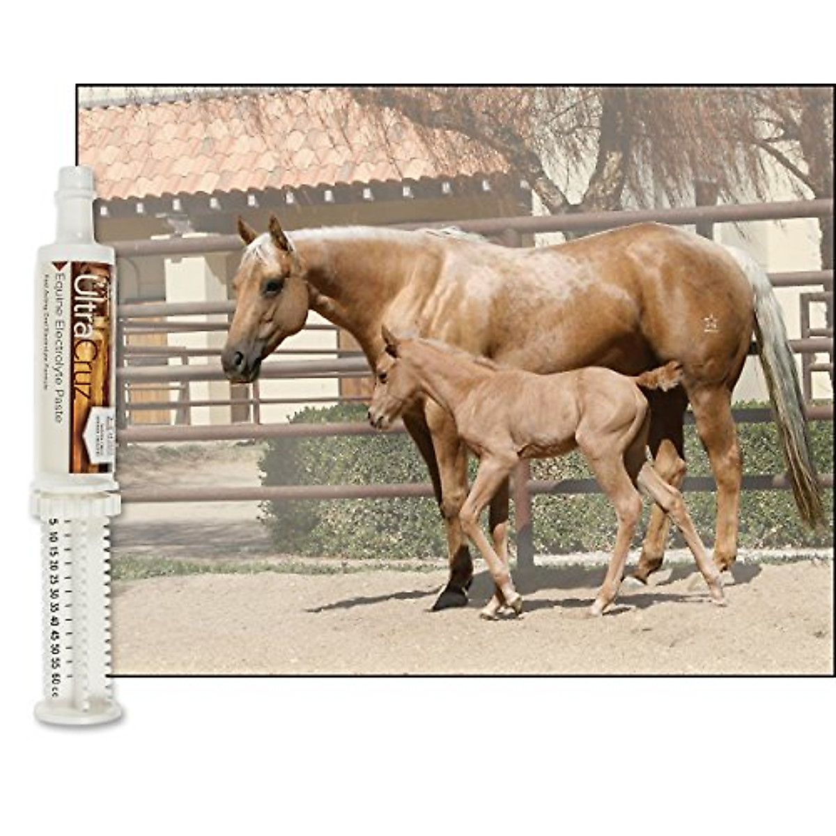 UltraCruz - sc-516042 Equine Electrolyte Supplement for Horses, 6 X 60 ml, Paste