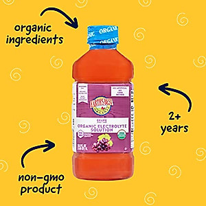 Earth's Best Organic Toddler Drink, Organic Electrolyte Solution for Children 2 Years and Older, Organic Concord Grape Drink with Zinc, 1 Liter Bottle (Pack of 4)