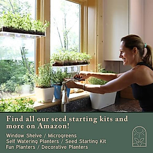 Window Garden Seed Starter Soil Mix - Gardening Starting Soil - Planting Soil for Vegetables, Herbs and Flowers - Ideal Potting Soil, Compressed Discs for Indoor and Outdoor Planting