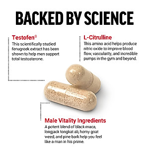 FORCE FACTOR Test X180 Alpha v2 T-Support for Men, T-Supplement to Help Build Strength, Boost Nitric Oxide, and Support Daily Performance, 120 Tablets