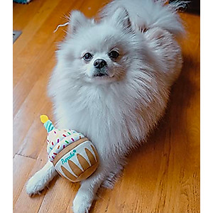 Nestpark Dog Birthday Toy - Pup Cake Puppy Birthday Dog Toy Cupcake Plush Squeak and Crinkle Dog Birthday Gift