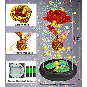 Jeekgsk Gifts for Women Gifts for Her Light up Rose in Glass Dome Roses Flower Xmas Gifts for Mom Valentine's Day Gifts Wedding Anniversary Thanksgiving (Red)