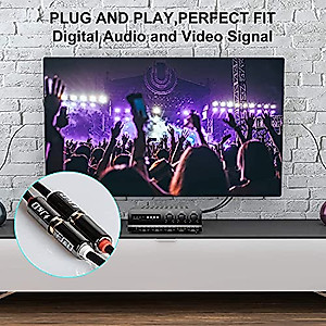 J&D 2 RCA Extension Cable, RCA Cable, Gold Plated Copper Shell Heavy Duty 2 RCA Male to Female Stereo Audio Extension Cable, 3 Feet