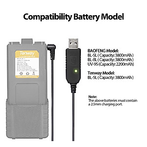 Tenway 2Pcs UV-5R BF-8HP Extended Battery BL-5L 3800 mAh with USB Charging Cable and Chargers Compatible with BAOFENG UV-5R Series