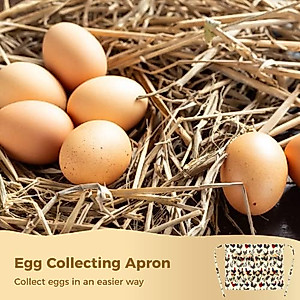 Homaisson Egg Apron, 15 Pockets Durable Canvas Egg Collecting Holding Apron Egg Gathering Apron for Chicken Duck Goose Eggs, Egg Carrier Canvas Apron for Housewife Farmhouse