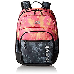 Quiksilver Men's --Schoolie Cooler Everyday Backpack, Quiet Shade, 1SZ
