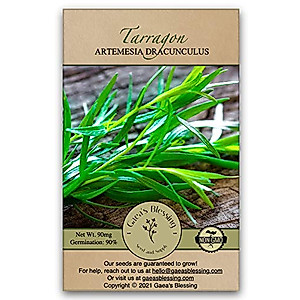 Gaea's Blessing Seeds - Tarragon Seeds - Heirloom Non-GMO Seeds with Easy to Follow Instructions - Open-Pollinated Herb Seeds Germination Rate 91%