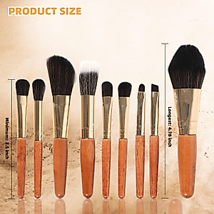 Pimoys 9PCS Travel Makeup Brushes Set, Mini Make Up Brushes with Case Portable Synthetic Brushes for Foundation Blush Powder Eye Shadow Cosmetics