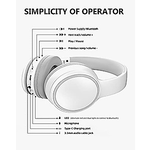 rockpapa E9 Over Ear Bluetooth Headphones for Kids Children Boy Girl Adult, Stereo Foldable Wired/Wireless Headphones with Microphone for School Travel Tablet PC TV, Include Case, White Grey