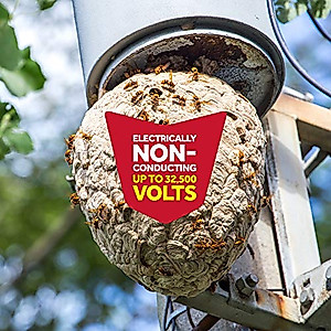 Raid Wasp and Hornet Killer Spray, Kills the entire nest, Kills Paper Wasps, Yellow Jackets, Mud Daubers and more, 14 oz