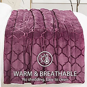 L'AGRATY Sherpa Throw Blankets, Plush Warm Throw Blankets for Adults, Microfiber Soft Throw Blanket for Bed, Fleece Throw Blanket for Couch (50 * 60 inches, Purple)