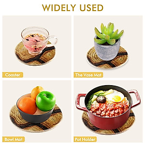 Turtle Shell Round Trivet Mat 2PCS Carapace Print Cotton Rope Placemats Pot Holder Set Kitchen Decor Table Hot Pads Coasters for Hot Dish Counter Tops Farmhouse Coasters Protector Mats