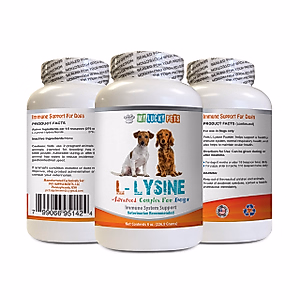 Amino Mix for Dog - Dog LYSINE Powder - Pure Powder Form - Immune System Support - Vet Recommended - lysine Amino Acid - 1 Bottle (8oz 226.8 Grams)