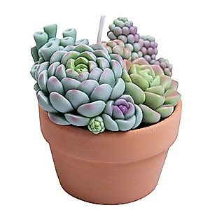 Assorted Succulent Pot Scented Candle for Spa Home Decoration Wedding Gift
