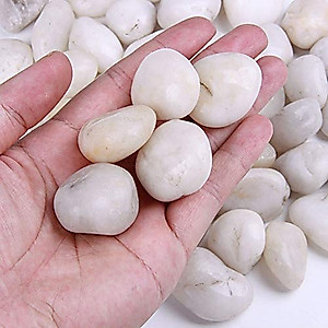 Rocks for Succulent Plants or Bonsai Garden, 3lb Bulk Bag – 1 inch 20-30mm White Decorative Gravel Pebbles for Plants