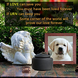 CredKity Ceramics Ashes Urn for Cats,Small Dogs and Human. Cat Urn, Small Dog Urn for Memorying Pets. Sharing Personal Ashes and Belongings with This Love Urn.
