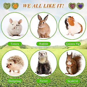 SYWHXY 20PCS Bunny Chew Toys, Rabbit Toys for Bunny's Teeth Organic Timothy Hay Cakes for Rabbits, Chinchilla, Hamster, Guinea Pig Reliable Rabbit Chew Toys for Teeth