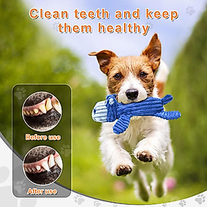 Frbyvad Dog Toy, Squeaky Christmas Dog Toys to Keep Them Busy, 3 Pack Plush Puppy Toys, Interactive Dog Toys for Large Small Dogs, Dog Chew Toy, Puppy Chew Toys for Teething, No Stuffing Dog Toys.