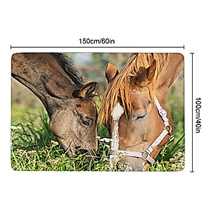 ERUXUGB Cutest Baby Animals | Horse Colt Coral Velvet Floor mat（150×100cm）