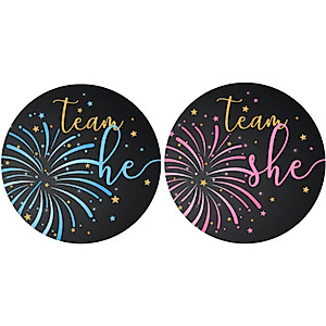 What Will Our Little Firework Be Gender Reveal Party -Team He or Team She - 40 Stickers