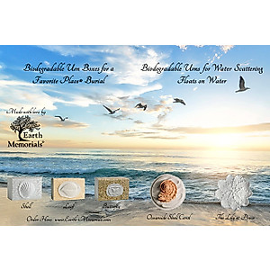 Biodegradable Urn for Human Ashes (Oceanside Shell White) Water Burial Urn, Urn Floats in Water, Urn for Cremation, Ocean Water Scattering Urn for Ashes, Floating Urn, Earth Memorials W-304