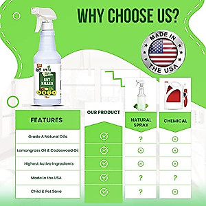 Spritz Ant Spray Indoor – Plant Based Petsafe - Non-Toxic Deterrent & Killer - USA-Made Works Instant On All Ant Types 16oz