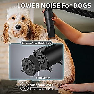 EGFKI Dog-Hair-Dryer, 5.2HP/ 3800W High Velocity Pet Blow Dryer with Heater for Grooming, Speed Temperature Adjustable Dog Blower Grooming Dryer with 4 Nozzles