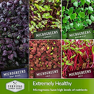 Survival Garden Seeds Microgreens 10 Pack - Instructions to Plant, Sprout, and Grow a Mix of Microgreen Plants - Arugula, Broccoli, Radish, Pea, Sunflower, Basil, Cabbage, Buckwheat, Kale, Beet Seed