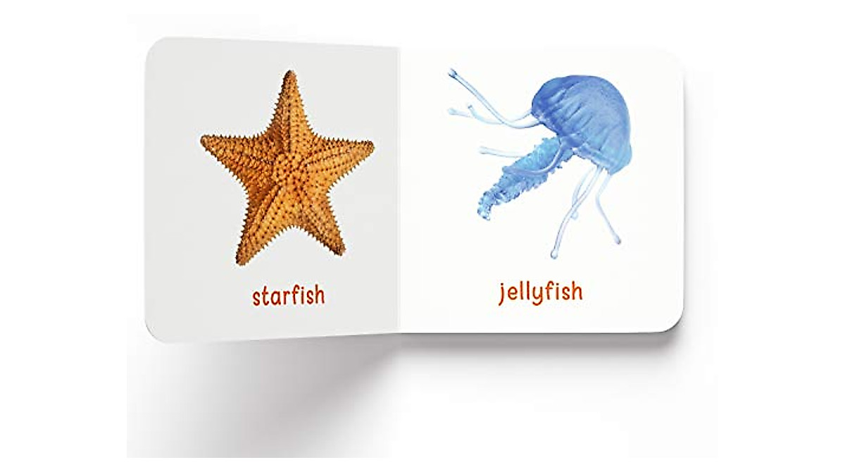 My First Library: 10 Engaging Board Books for Kids