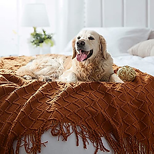 SunStyle Home Rust Throw Blanket for Couch 50 x 60 inches - Decorative Knitted Summer Blankets with Tassels - Soft Lightweight Woven Textured Solid Farmhouse Throw for All Seasons