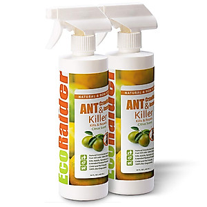 EcoVenger Ant Killer & Crawling Insect Killer (Citrus Scent) 16 oz x2, Kills Fast in Minutes, Also Kills Spiders, Centipedes & More, Repels with Residual, Natural & Non-Toxic, Safe for Children & Pets