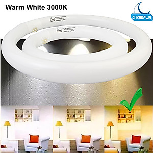 FC8T9/KB 22W and FC12T9/KB 32W Warm White Set, Round Fluorescent 8 inch T9 22 Watts & Circular Light Bulbs 12 inch 32 Watts Pack, Circline Kitchen and Bath Ceiling Fan Bulb, 3000K, G10q Prong