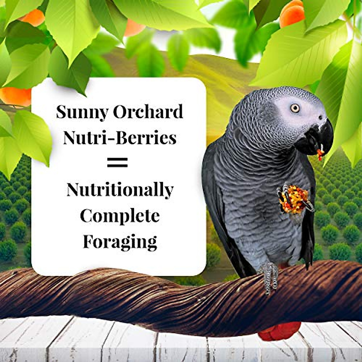 LAFEBER'S Sunny Orchard Nutri-Berries Pet Bird Food, Made with Non-GMO and Human-Grade Ingredients, for Parrots, 20 lb