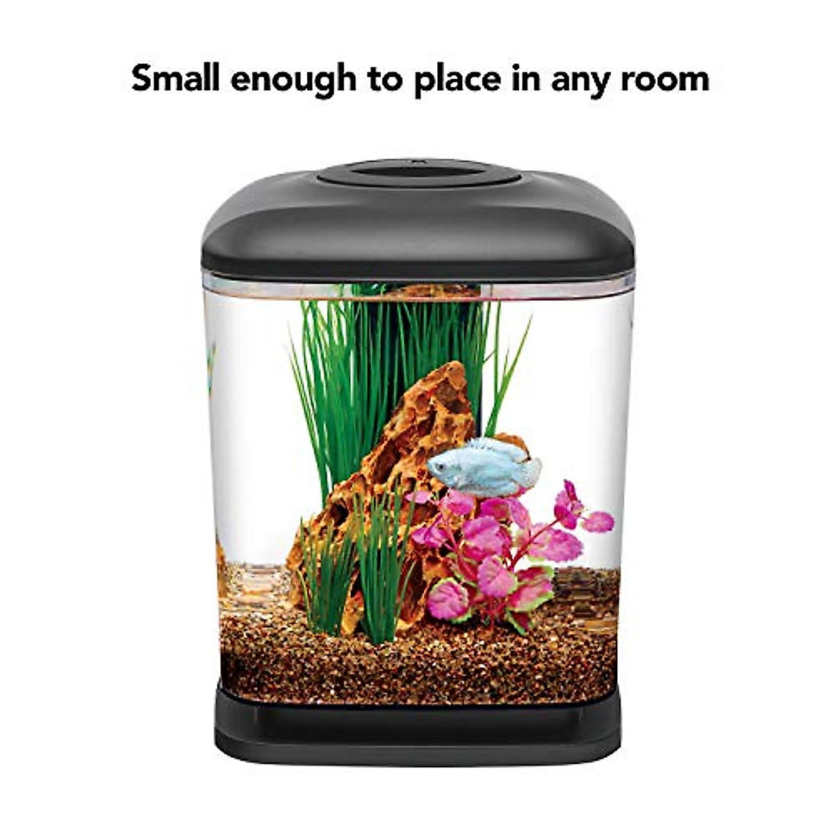 Aqueon Mini Cube Kit Black 1.6 Gallon 1.6 Gallons